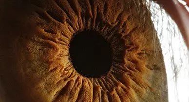 Știința din spatele acestor fotografii uimitoare ale ochiului uman