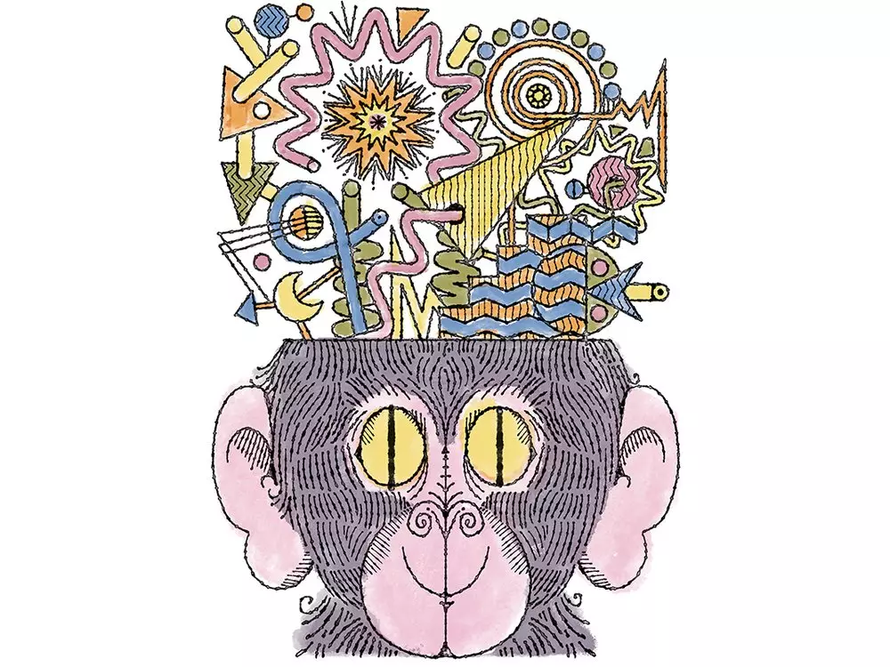 Maymun Psikolojisi İllüstrasyon