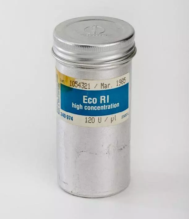 Eco R1 容器