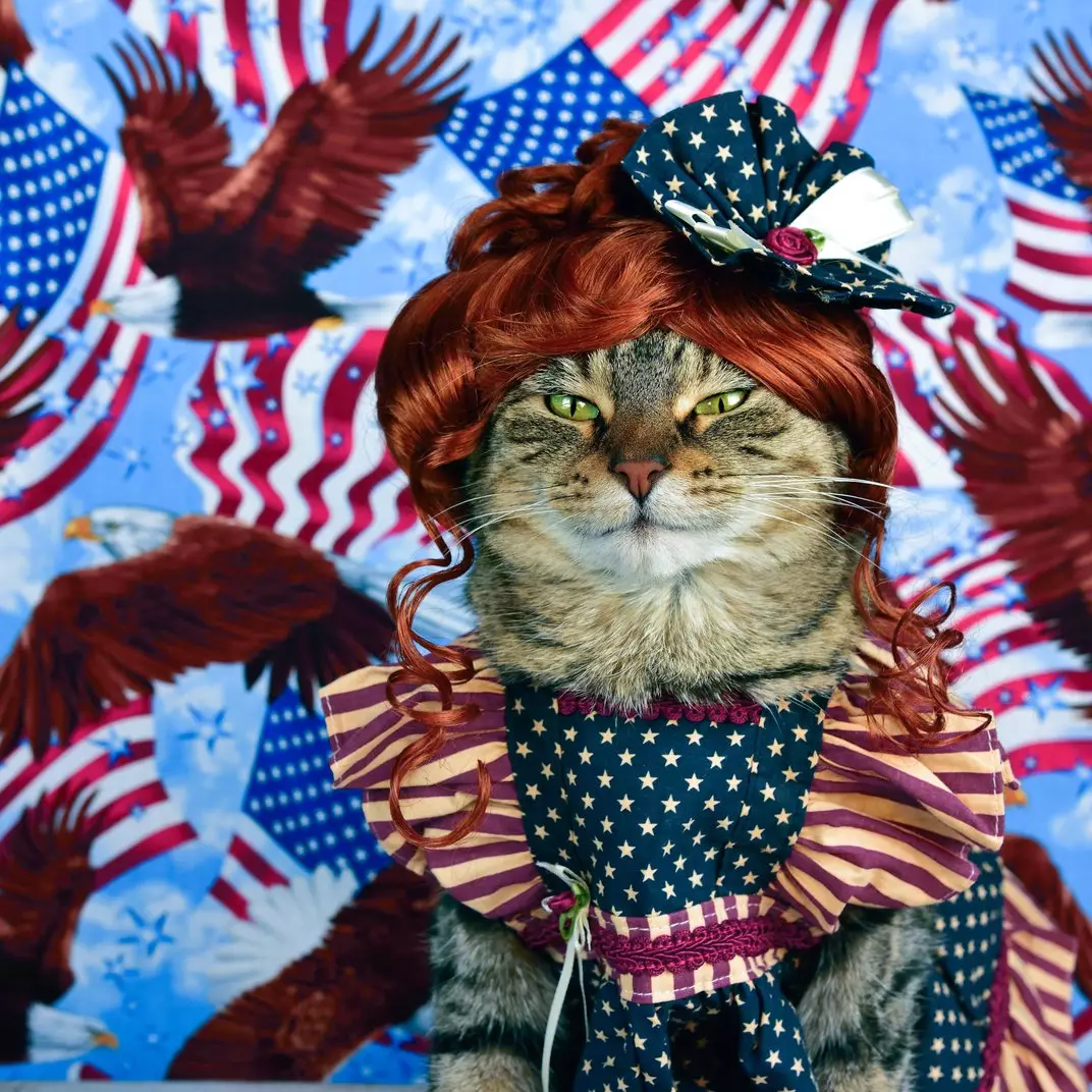 Patriotisk katt
