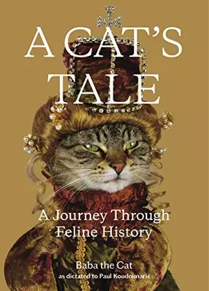 پیش نمایش تصویر کوچک برای «داستان یک گربه: سفری در طول تاریخ گربه ها».