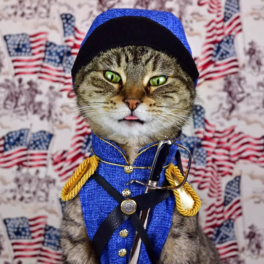 米陸軍猫