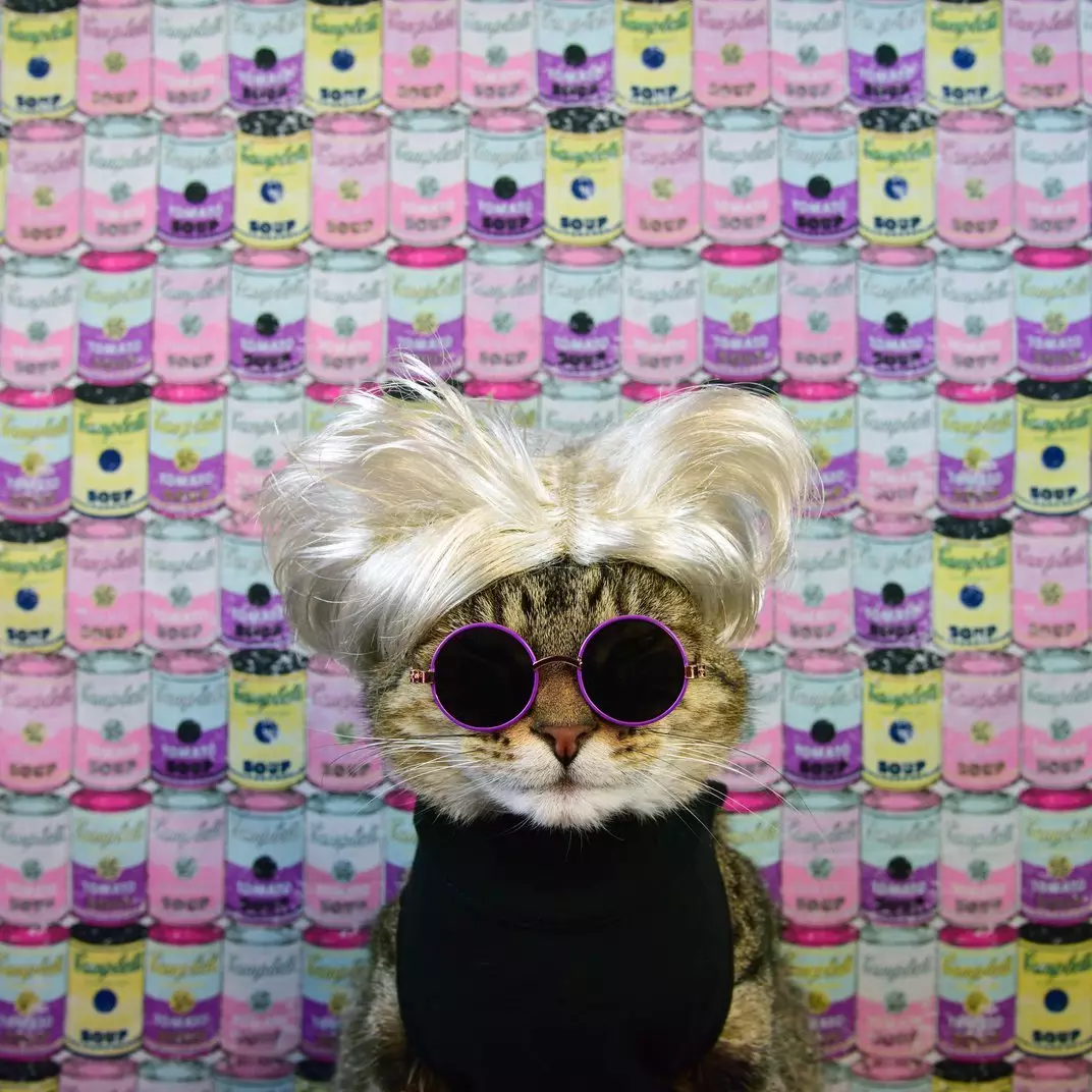 Andy Warhol katt