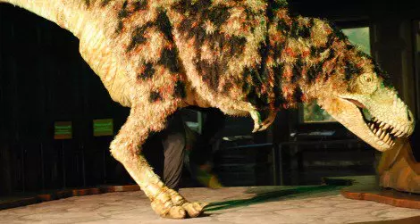 בובת הטירנוזאור הצעירה במוזיאון הטבע של מחוז לוס אנג'לס