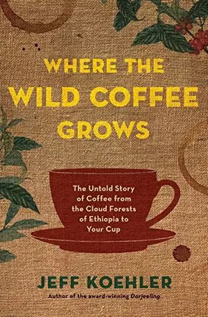 Peržiūrėkite miniatiūrą „Kur auga laukinė kava: neapsakoma kavos iš Etiopijos debesų miškų iki jūsų puodelio istorija“