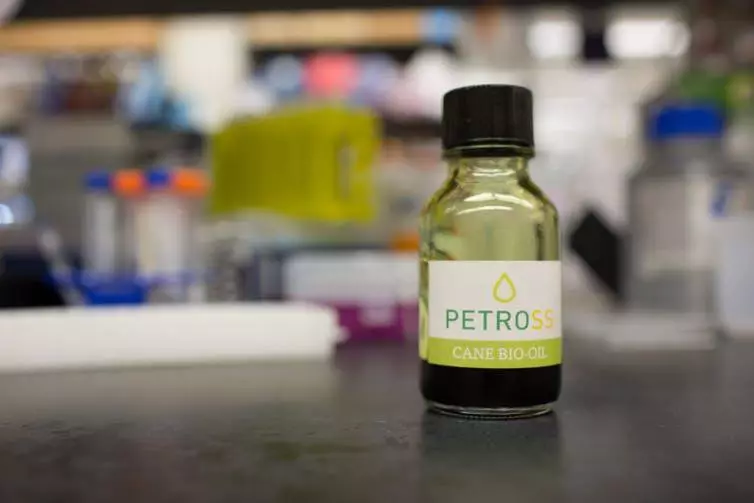 Uma garrafa de óleo produzido a partir de PETROSS lipidcane