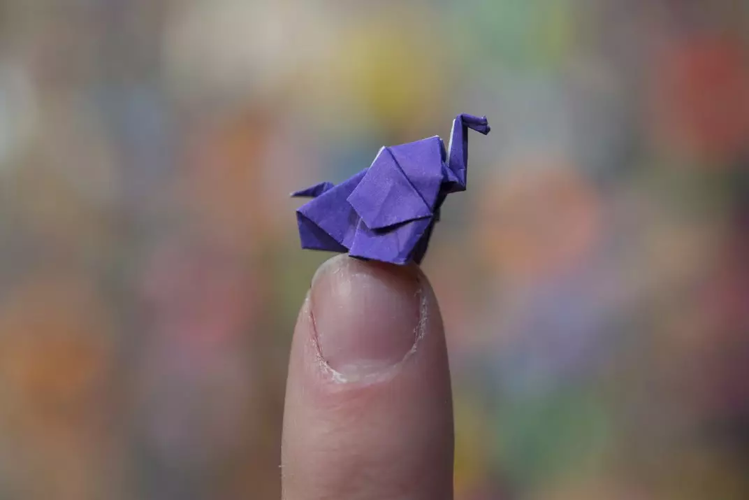 Pasaulē lielākais origami ziloņu ganāmpulks pārņem Bronksas zoodārzu 11909_1