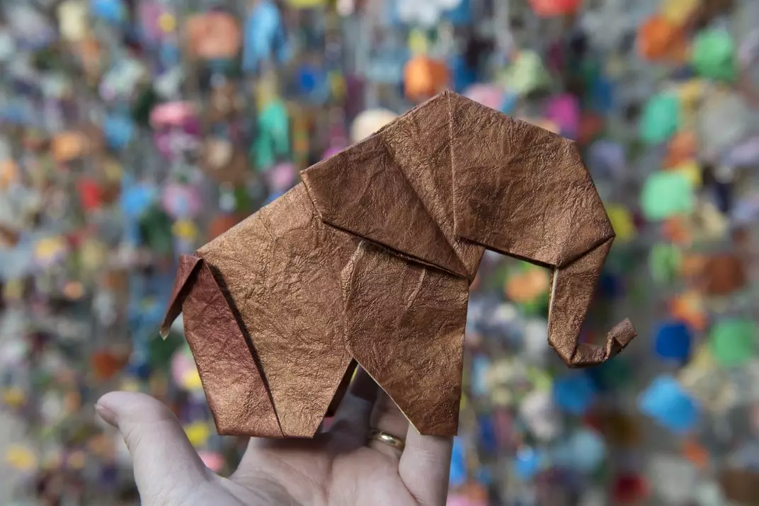 Verdens største flokk med origami-elefanter tar over Bronx Zoo 11909_2