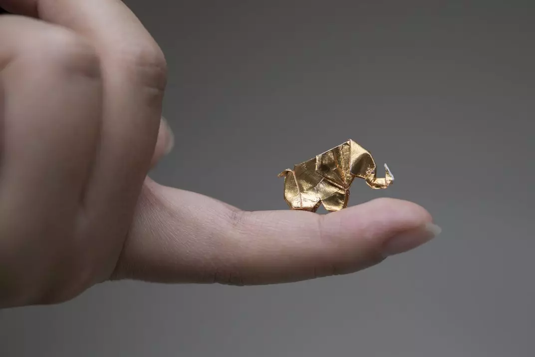 A világ legnagyobb origami elefántcsordája átveszi a hatalmat a bronxi állatkertben 11909_3