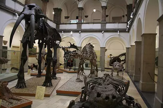 Динозаврларды көру: Археоптерикстің 150 жылдығына арналған арнайы басылым