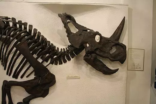 Pono ea Dinosaure: Khatiso e Khethehileng ea Archeopteryx ea bo-150 11930_3