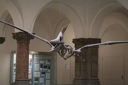 ඩයිනොසෝර දර්ශනය: විශේෂ Archeopteryx 150 වැනි සංවත්සර සංස්කරණය 11930_4