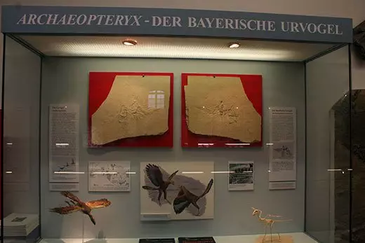 Albirament de dinosaures: una edició especial del 150è aniversari d'Arqueopteryx 11930_7