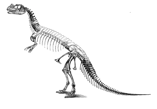 Dinozavr fanlari tarixini qazish
