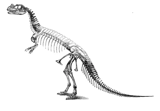 Delf in die geskiedenis van dinosouruswetenskap