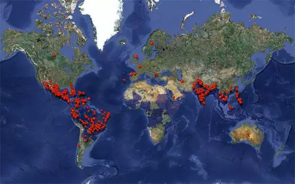 Doniesienia o gorączce denga na całym świecie