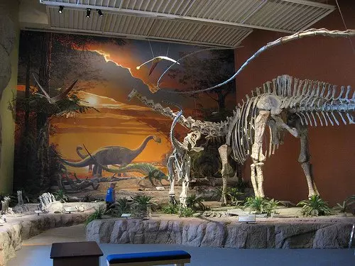 20110520083235Seismosaurus-Saurophaganax-New-Mexico.jpg