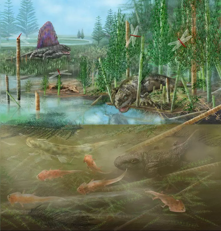 一個陸地和水生的史前生態系統。