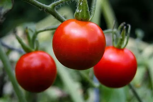 Penki būdai valgyti pomidorus