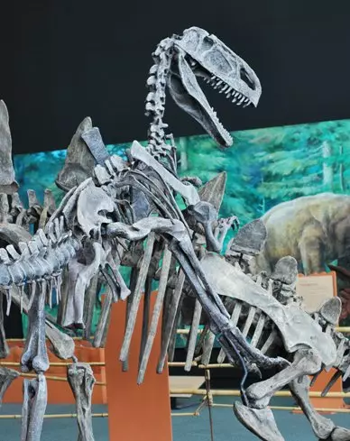 A "kinasaurusok" megszállják Marylandet