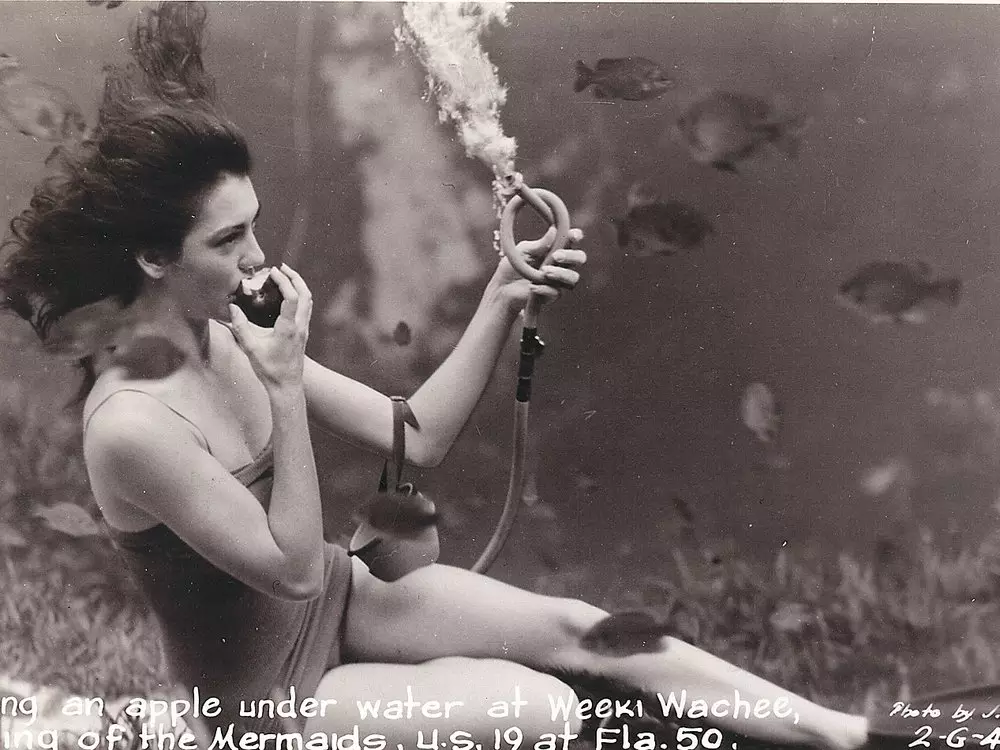 Buntut Bersejarah saka Mermaids Weeki Wachee