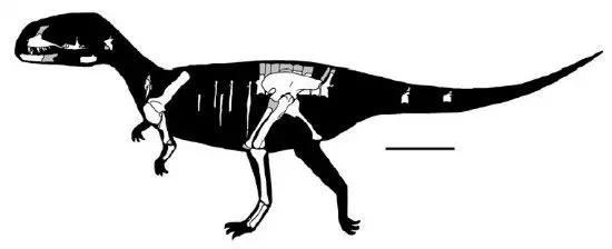 megalosaurio
