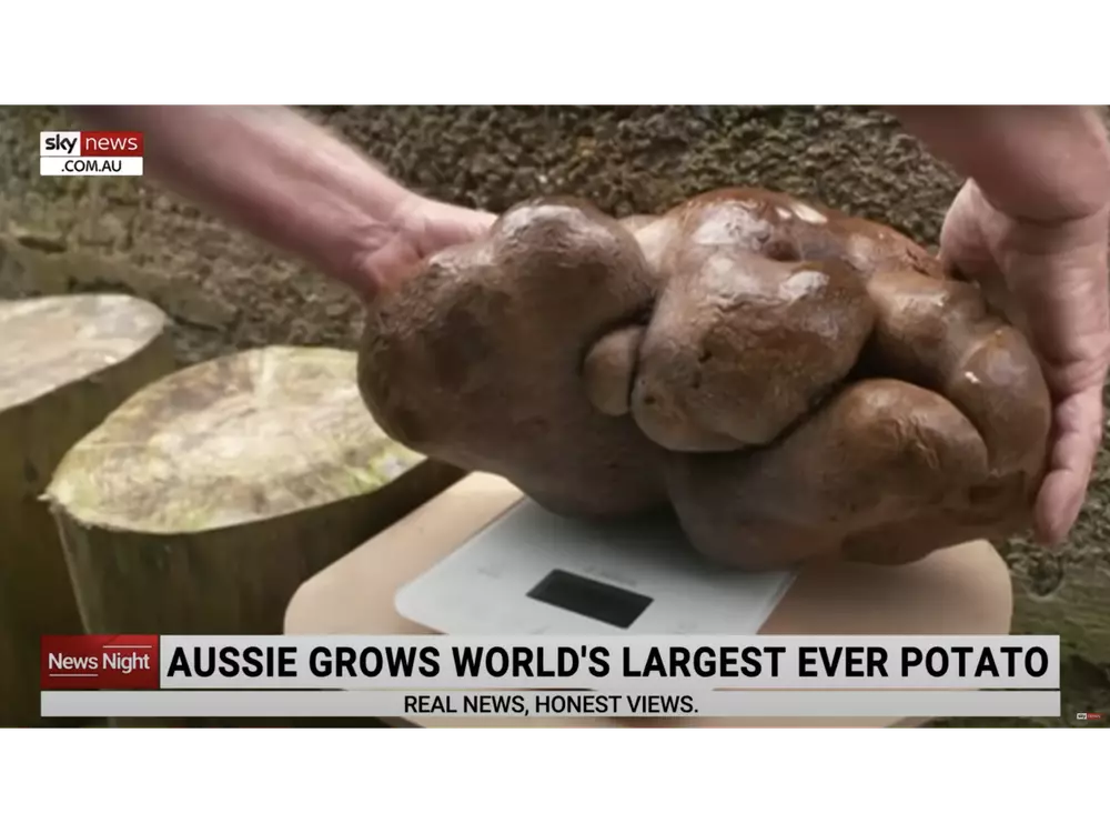 Doug the Ugly Potato តាមរយៈ Sky News