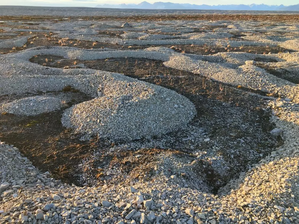 Πώς οι «βελόνες» του πάγου σμιλεύουν μοτίβα πέτρας σε παγωμένα τοπία