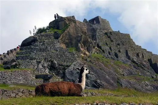 Redder Machu Picchu 12526_5
