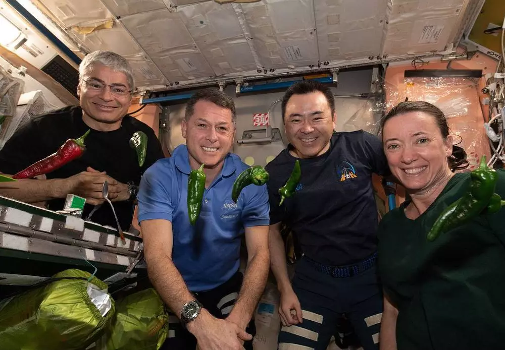 Quattro astronauti posano sulla Stazione Spaziale Internazionale. Davanti a loro ci sono quattro peperoncini galleggianti.