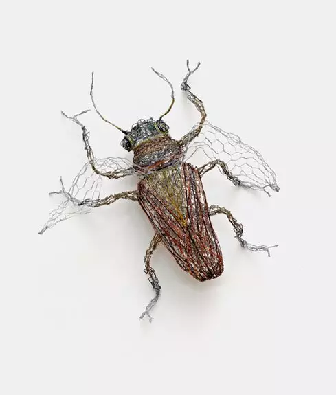 Beetles Invasion: Yhden taiteilijan näkemys hyönteestä 12718_4
