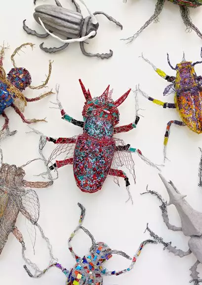 Beetles Invasion: Artista batek intsektuari buruzko ikuspegia 12718_7