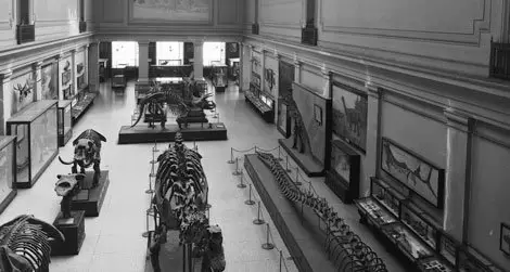 O Deep Time: Náhled renovace fosilní síně Přírodovědného muzea