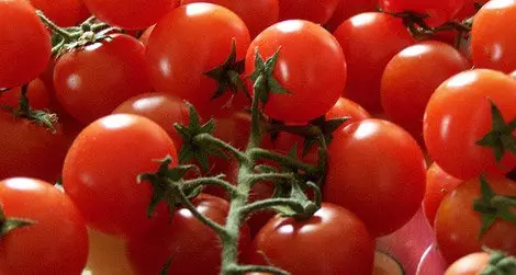 Perfección de tomate