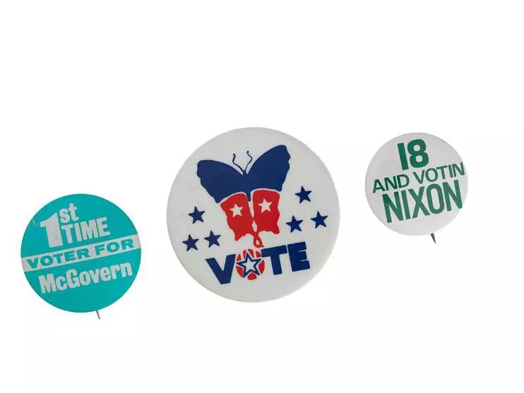 麦戈文、投票和尼克松按钮