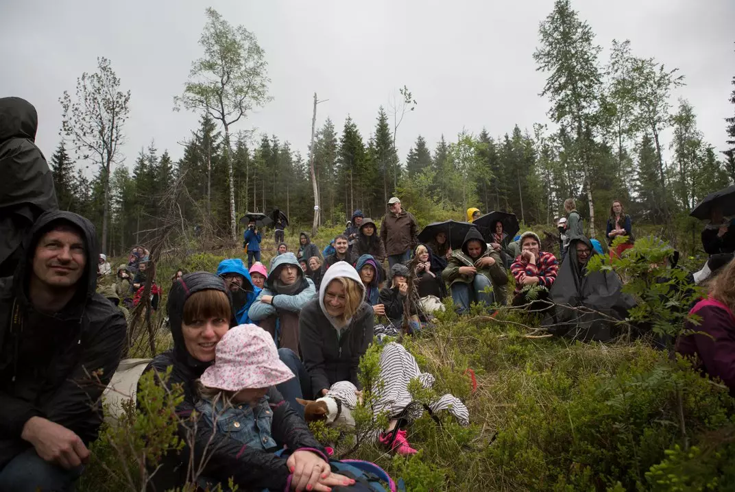 Etter 100 år vil hele denne skogen bli omgjort til mysteriemanuskripter 12946_4