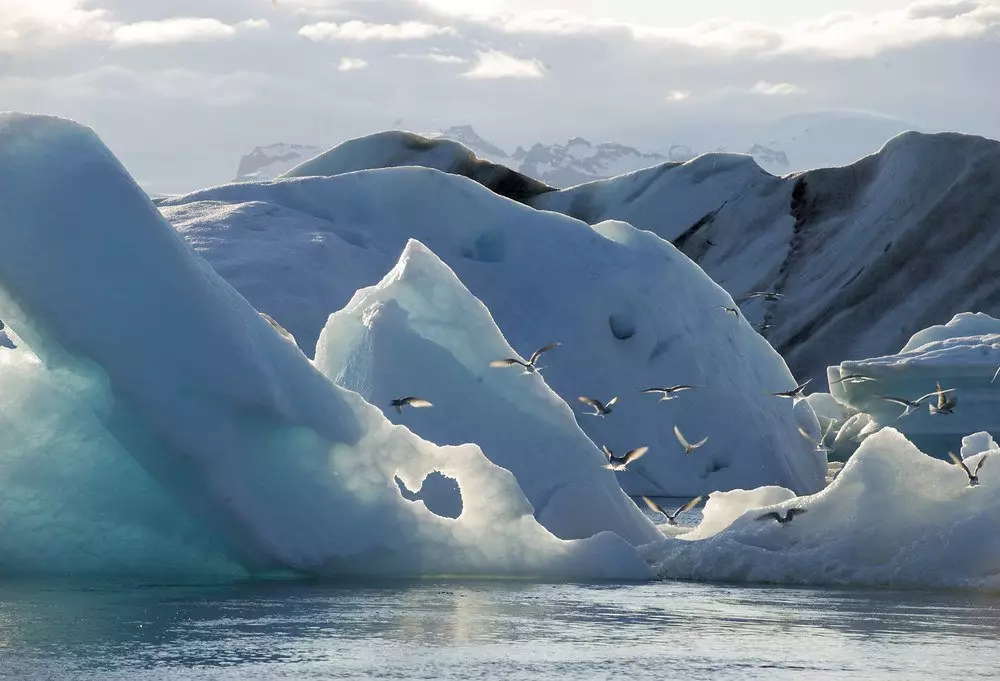 Lagoa glaciar Jökulsárlón