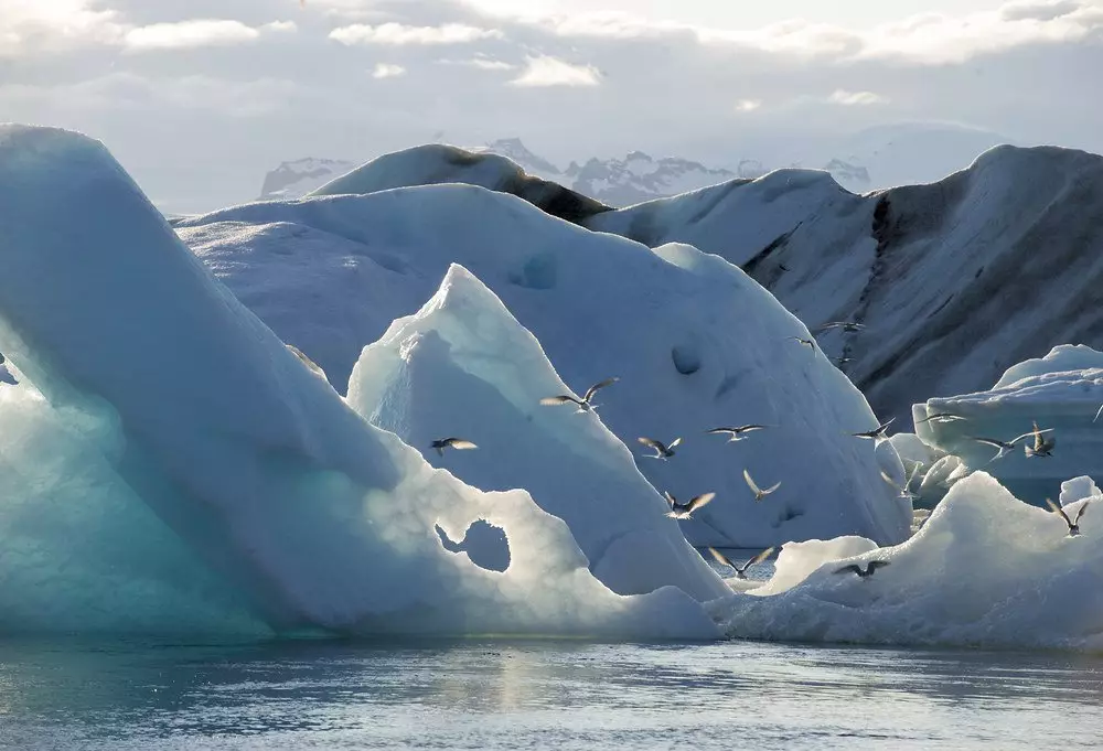 Jökulsárlón glacial lagoon