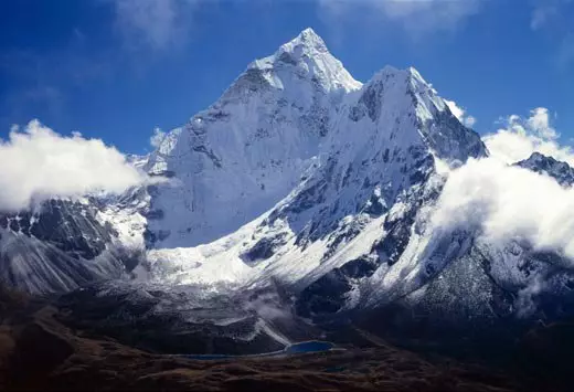 আপনি স্মিথসোনিয়ান লাইফ তালিকায় কী যোগ করবেন? 13013_32