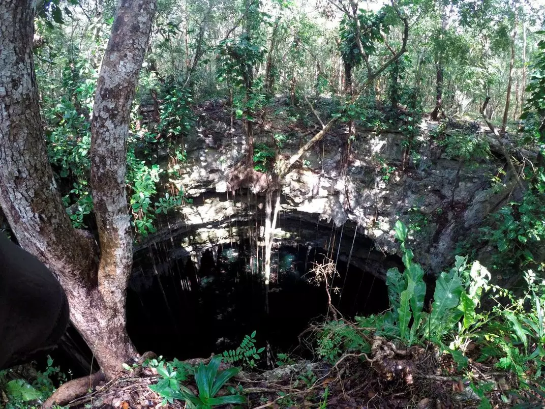 Cenote