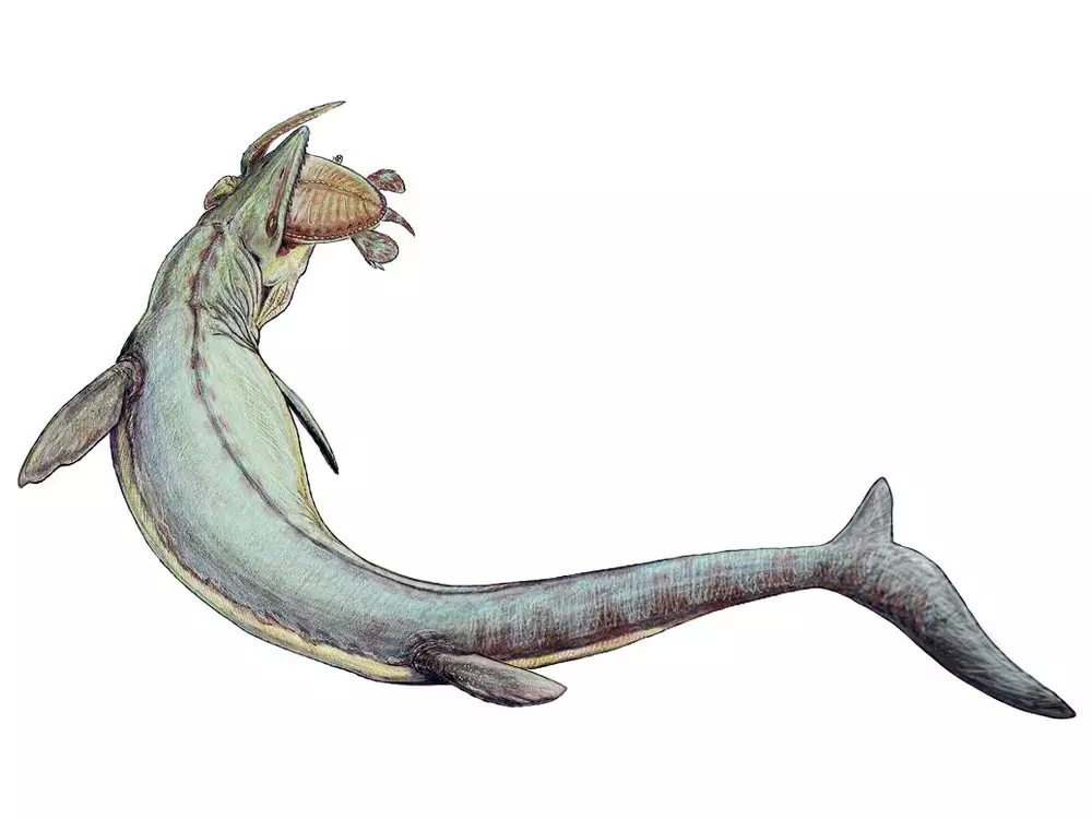 Mosasaurus