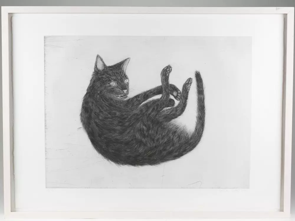 Một bộ sưu tập khổng lồ các tác phẩm nghệ thuật về mèo được đưa ra đấu giá