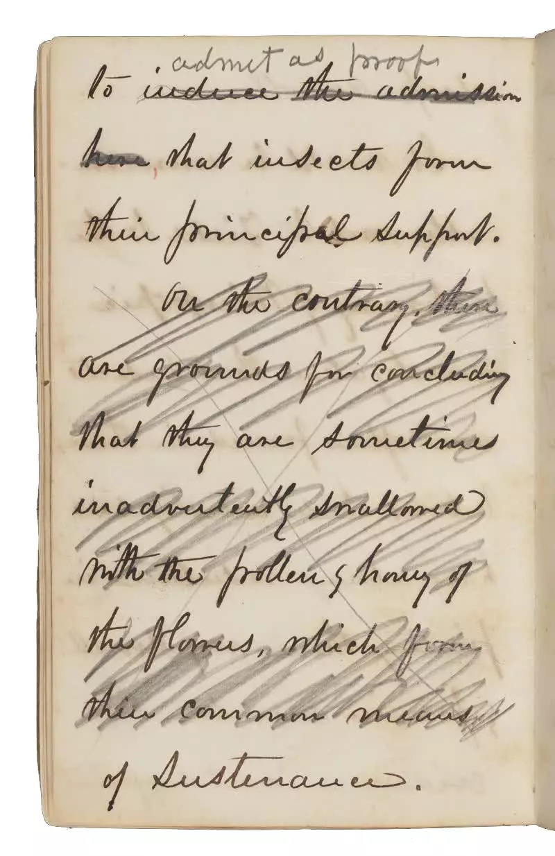 نوٹ بک کا صفحہ سیاہ یا گہری بھوری سیاہی کے ساتھ کرسیو میں ہاتھ سے لکھا گیا، اور متن کے کچھ حصوں کو کراس کرنے والے پنسل کے نشانات۔