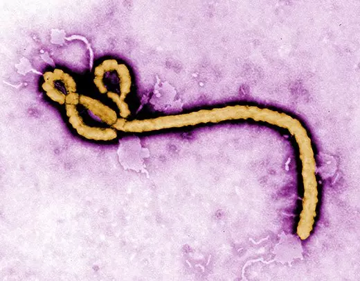 Az Ebola vadászata 13273_5