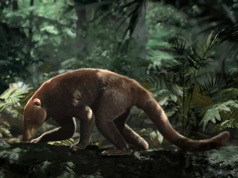 Բրածո տեղանքը բացահայտում է, թե ինչպես են մեծացել կաթնասունները դինոզավրերի մահից հետո