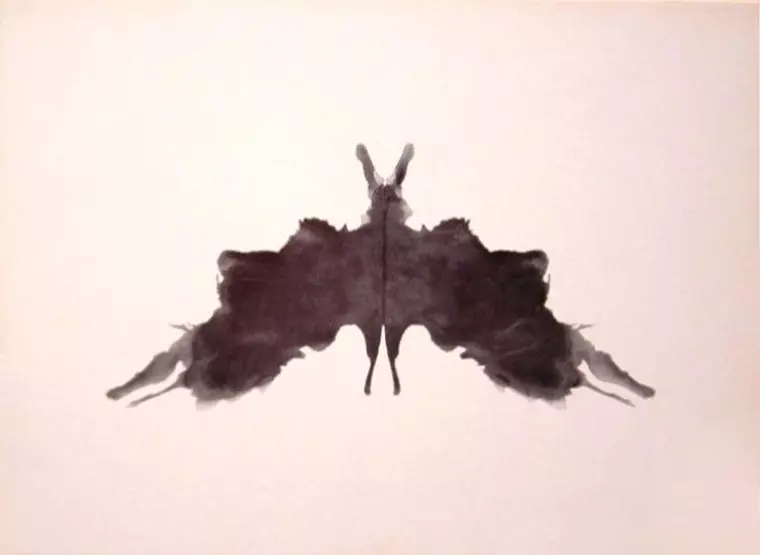 De artistike obsession fan Hermann Rorschach late ta syn ferneamde test