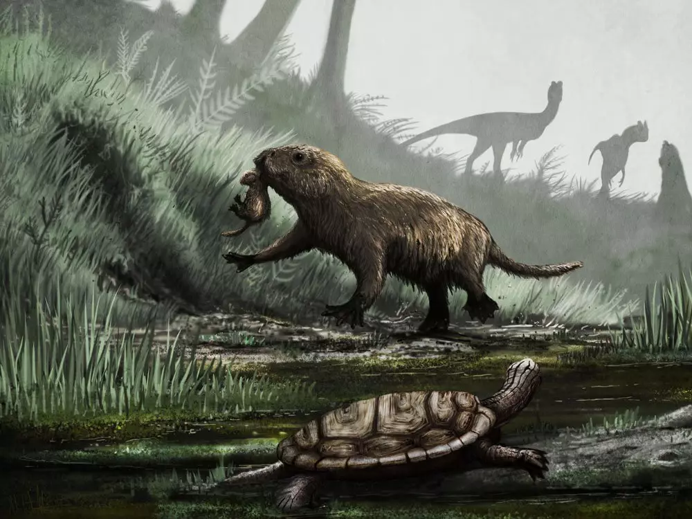 Когда динозавры ушли, млекопитающие вышли (при дневном свете), чтобы поиграть