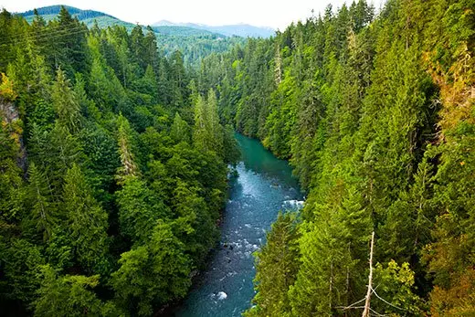 Sur l'Elwha, une nouvelle vie quand le barrage casse 13581_4