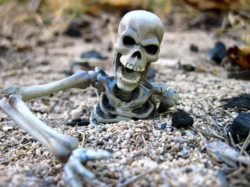 Сенди откопува скелет на Њу Хевен Грин