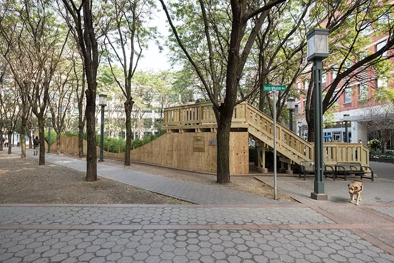 Un bosque de secuoyas vivas en miniatura surge en Brooklyn 13762_5